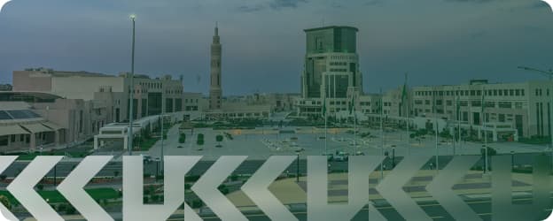 About King Khalid University - Vision, Mission & Structure