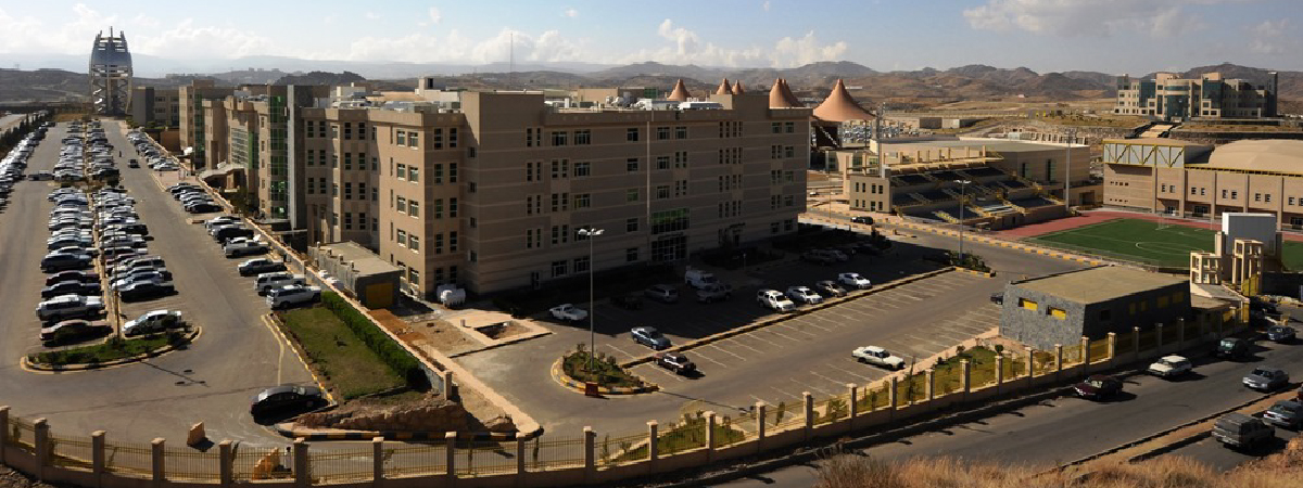 King Khalid University Saudi Arabia