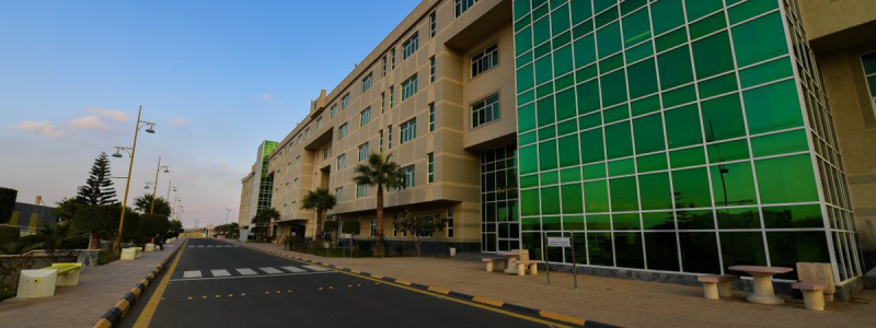 University Hosts Workshops in Mandarin and Mathematics